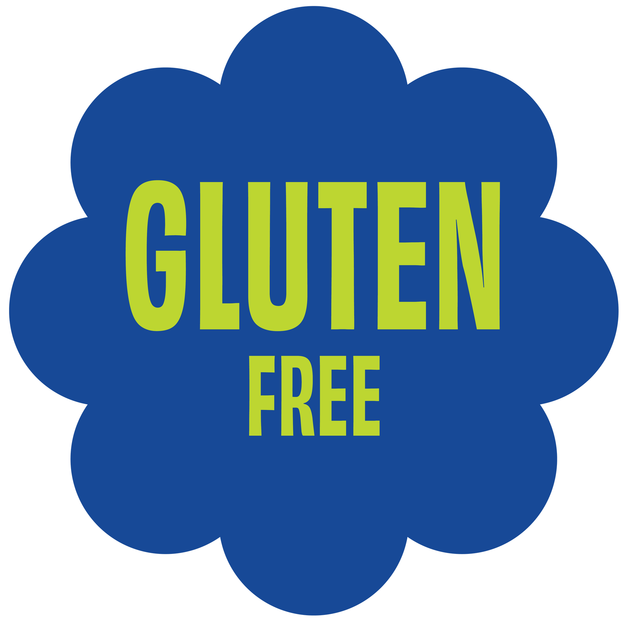 Choc Coconut SLICE CARTON – springhillfarmwholesale