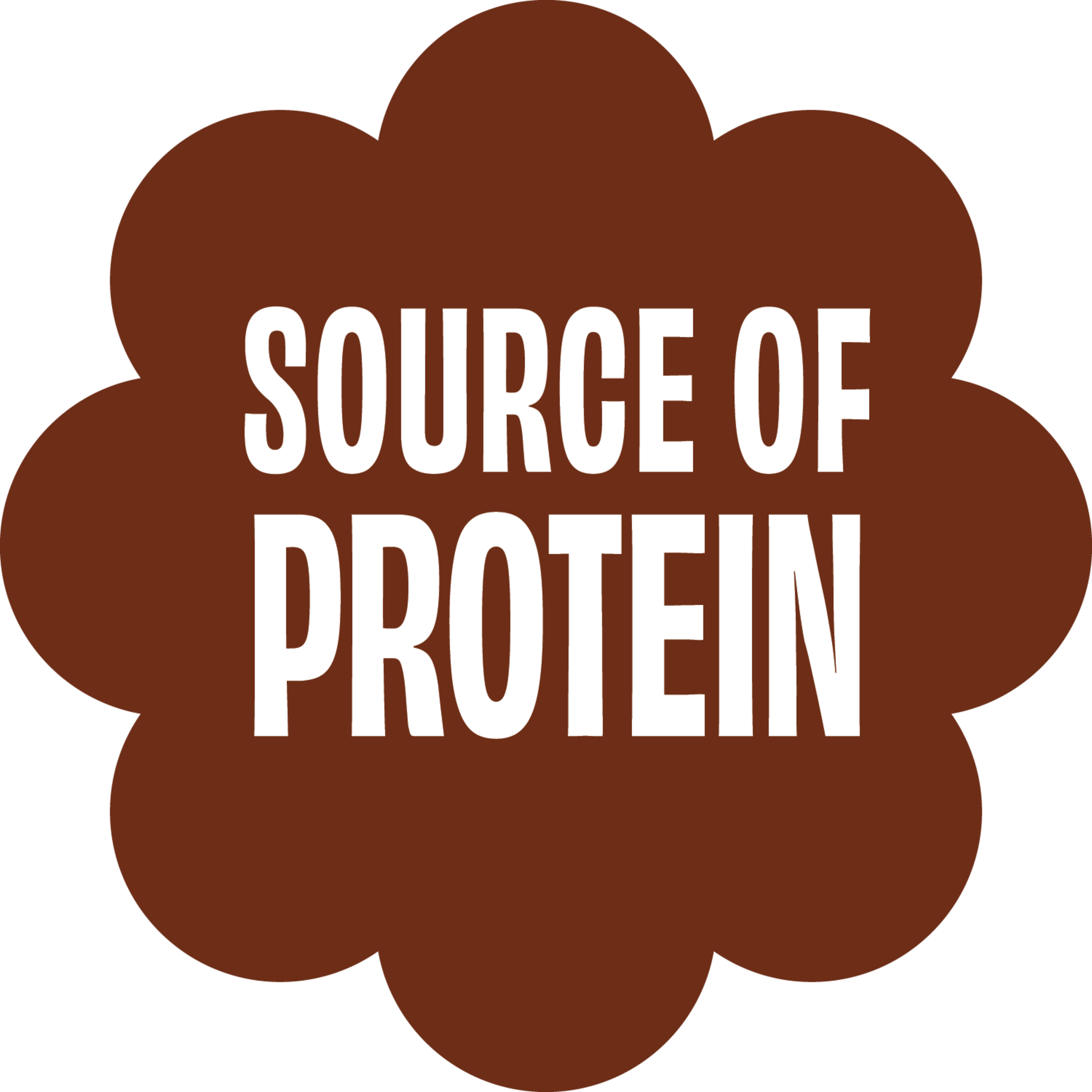 Choc Oat Slice Bar (5 pack x 6) – springhillfarmwholesale
