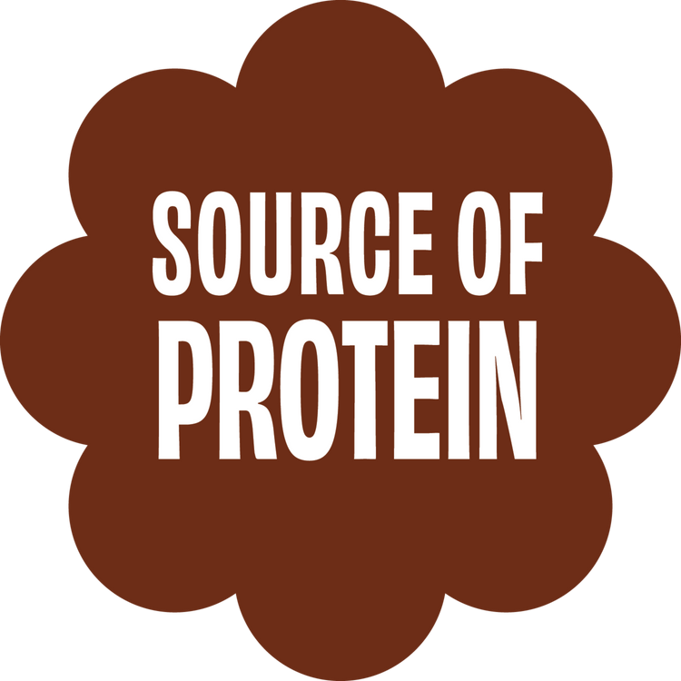 Choc Oat Slice Bar (5 pack x 6) – springhillfarmwholesale